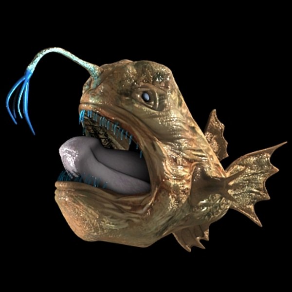 3d model angler fish