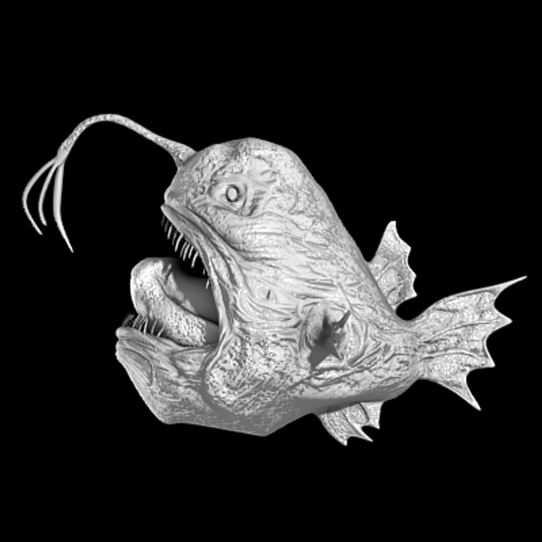 3d model angler fish