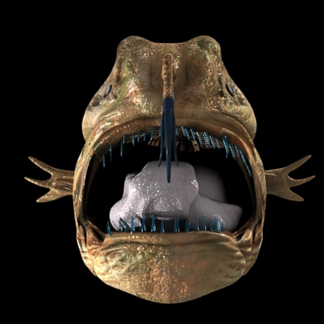 3d Model Angler Fish