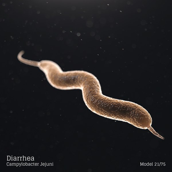 3D Diarrhea Models | TurboSquid