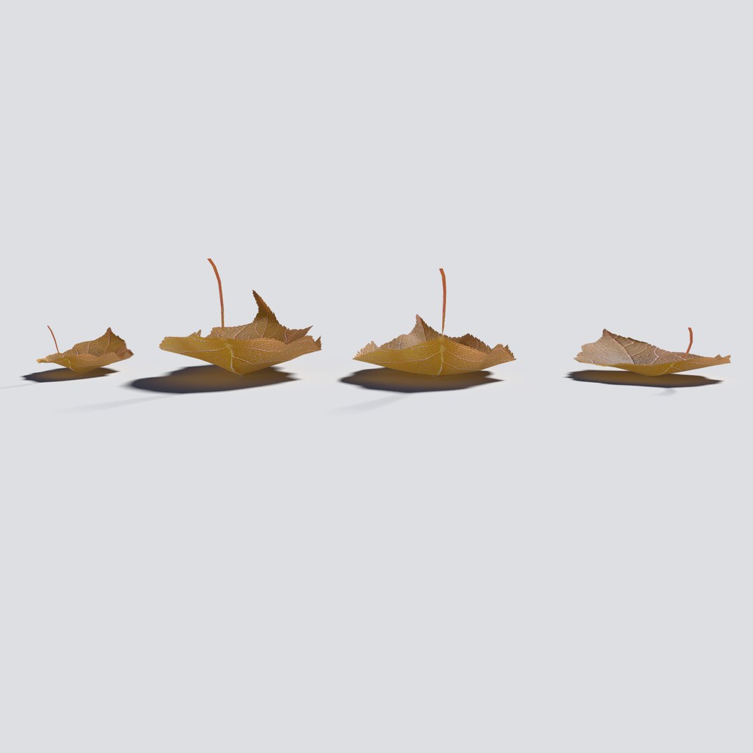 Dry Leaves Model - TurboSquid 1326548