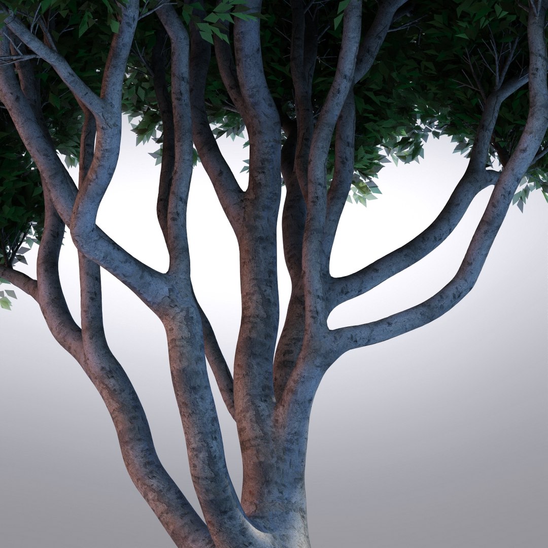 3d Max Hi Realistic Series Tree