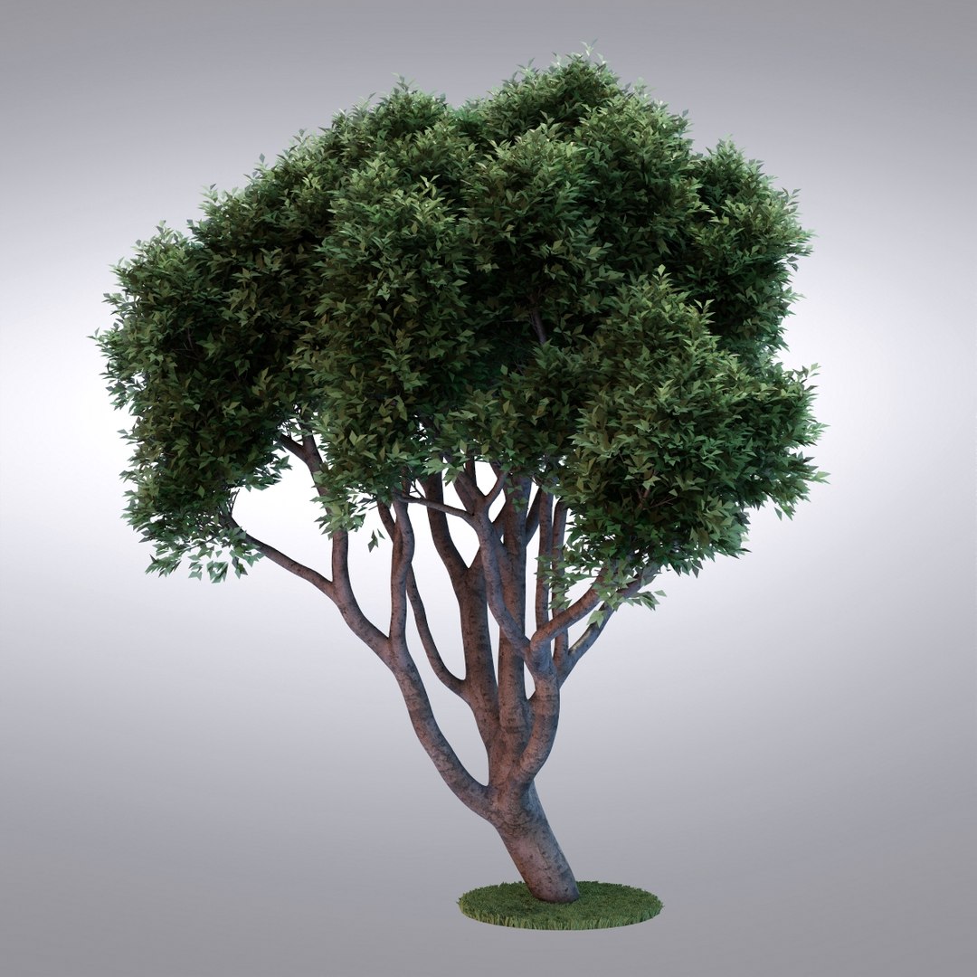 3d Max Hi Realistic Series Tree