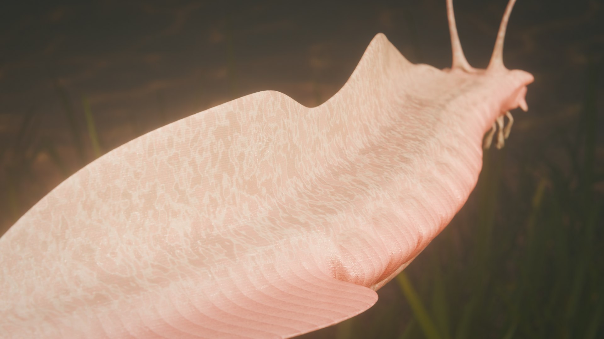 Pikaia 3D Model - TurboSquid 2329922