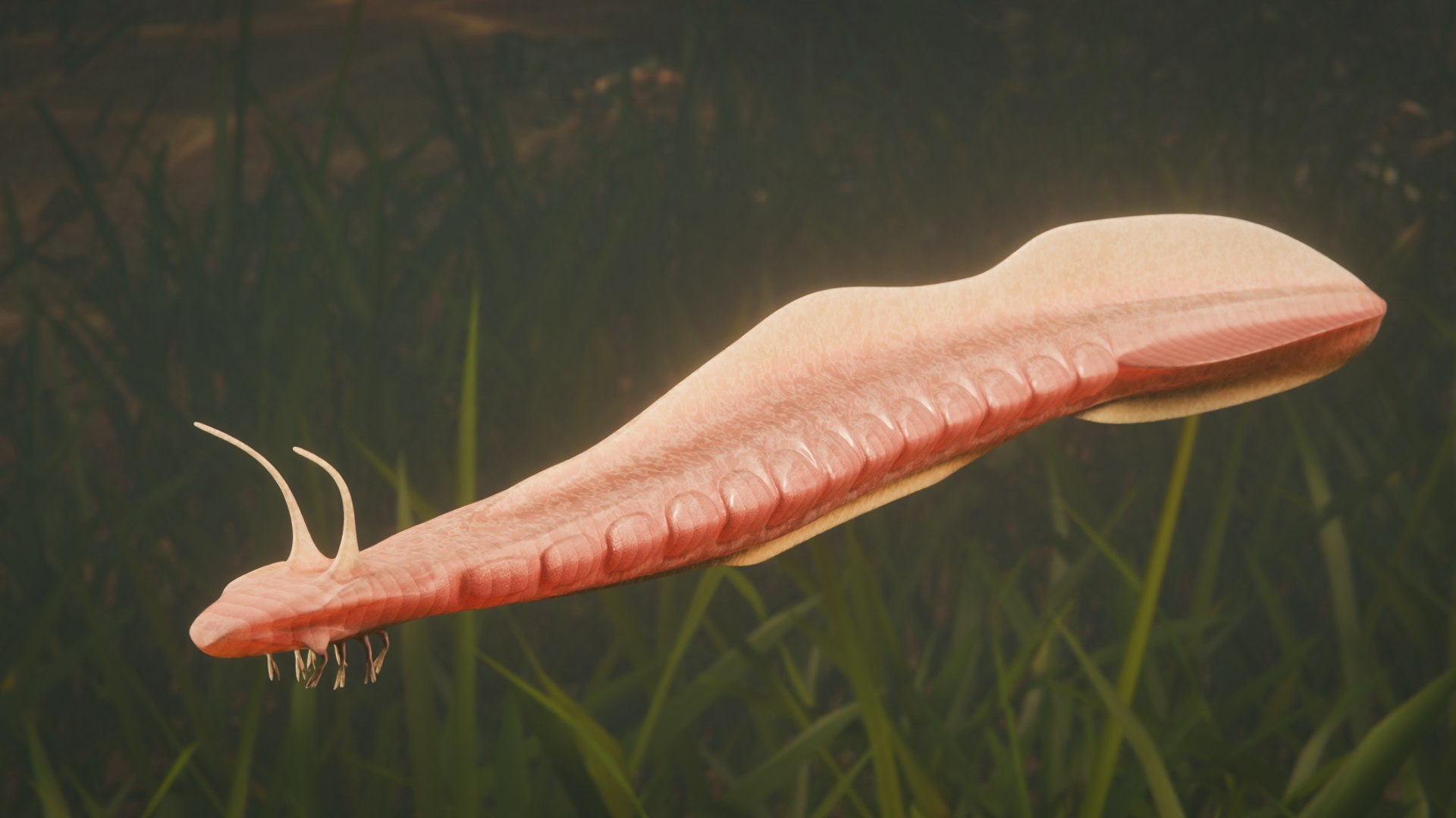 Pikaia 3D Model - TurboSquid 2329922