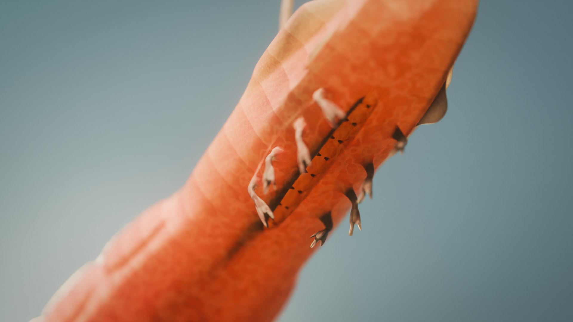 Pikaia 3D Model - TurboSquid 2329922