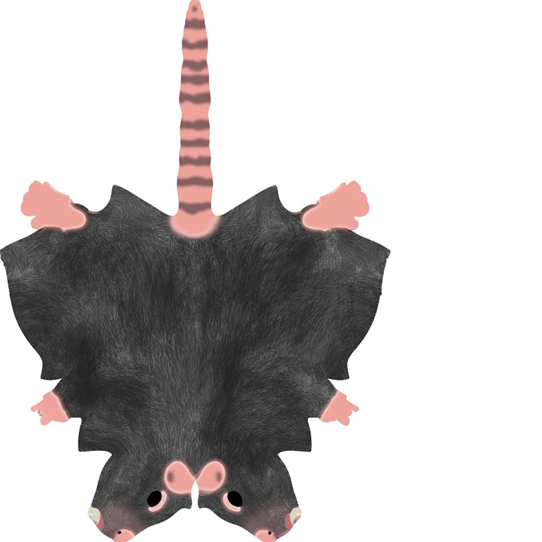 3D RAT - TurboSquid 1804937