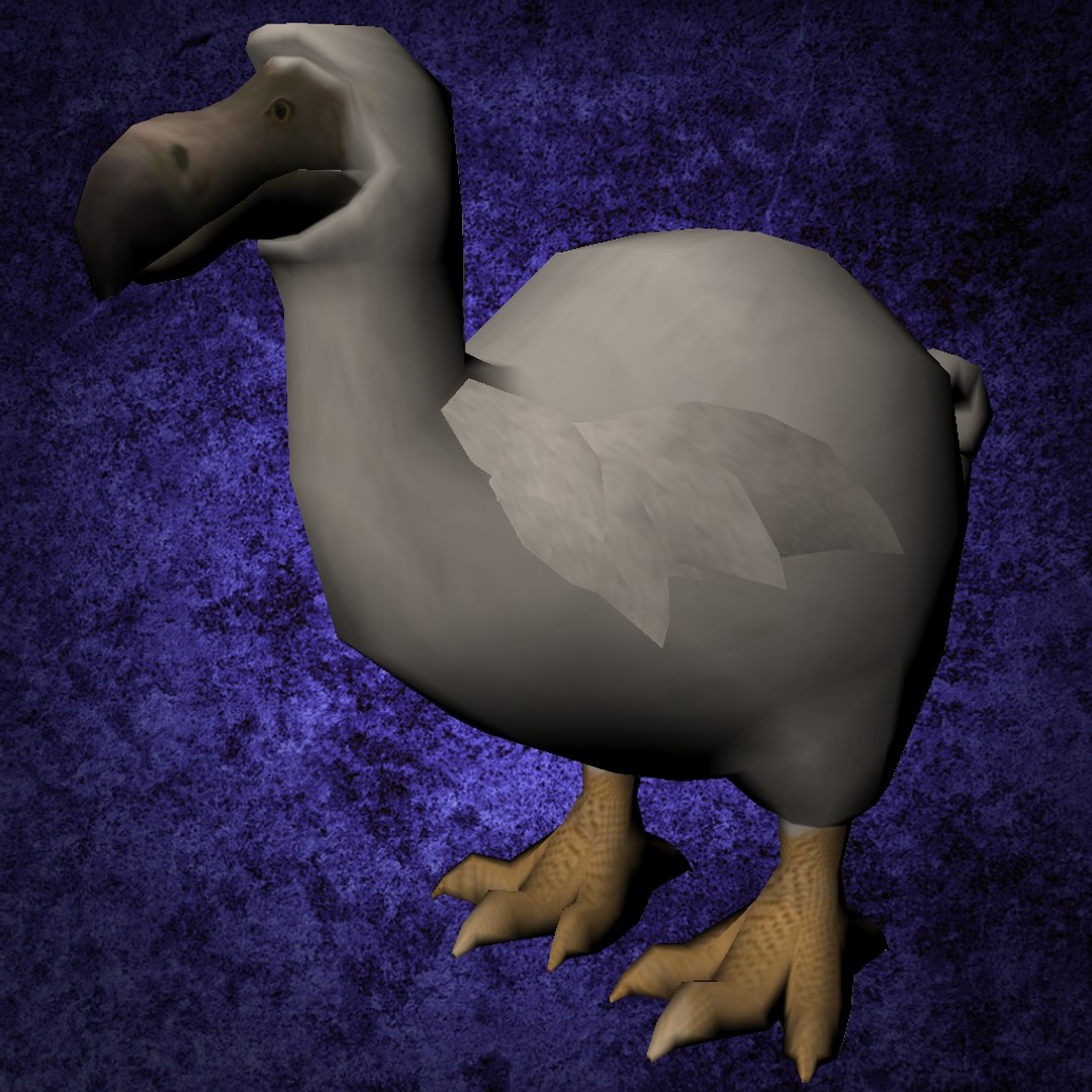 Dodo 3D | 1141983 | TurboSquid