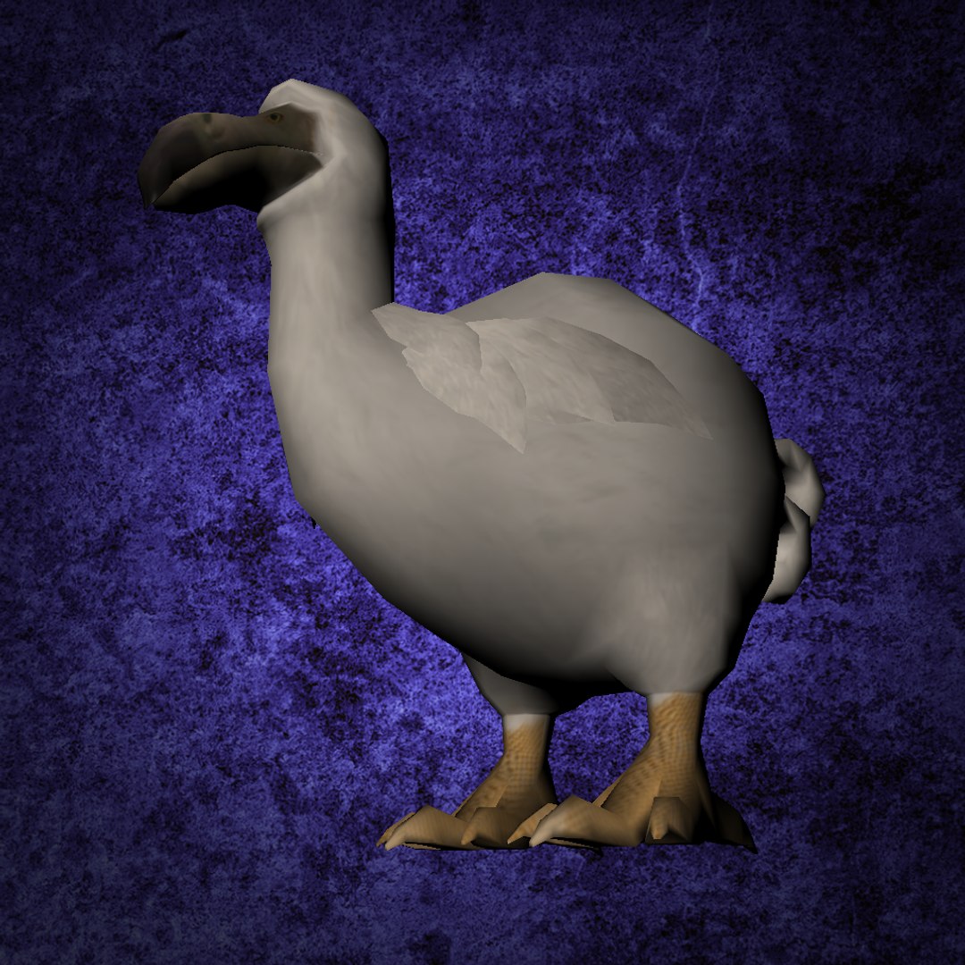Dodo 3D | 1141983 | TurboSquid
