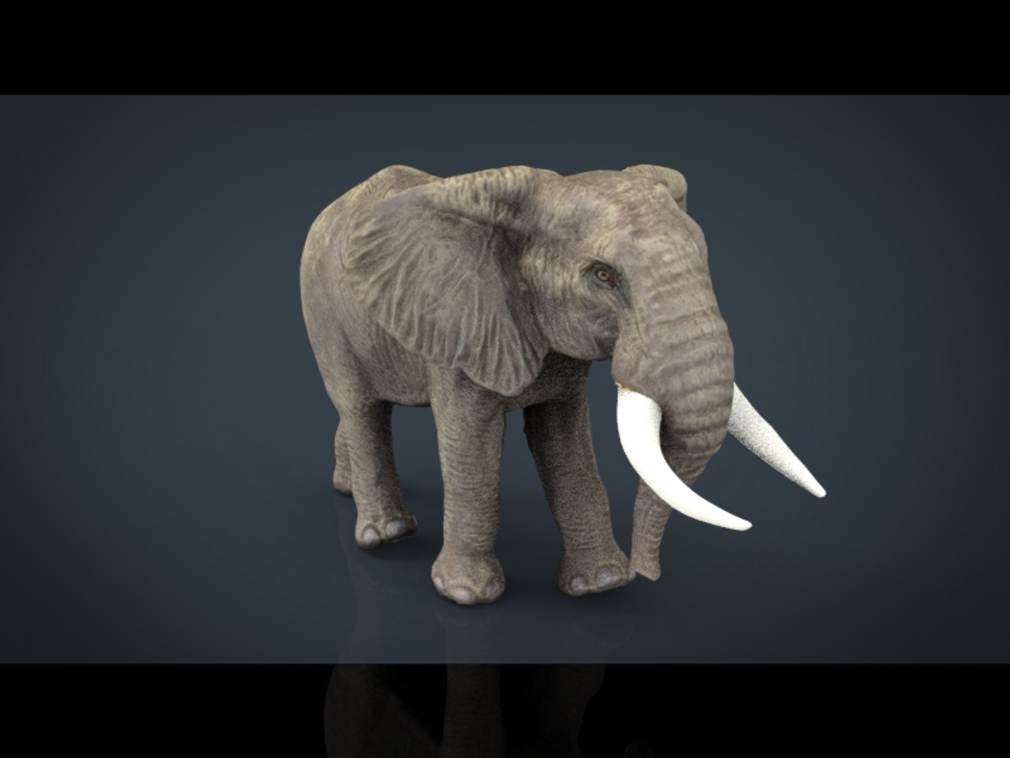 African Elephant Obj