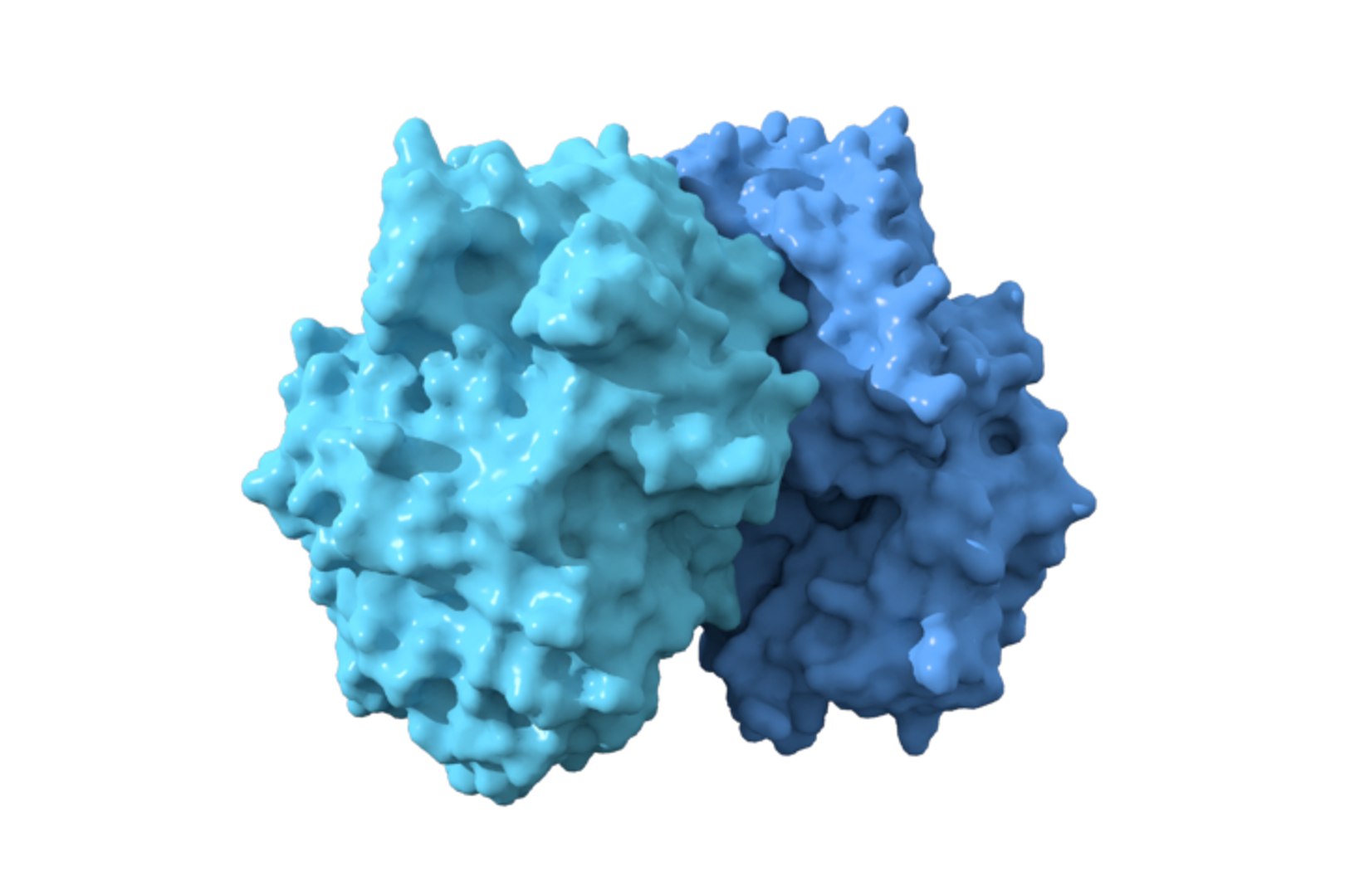 3D Glucose Oxidase Model - TurboSquid 1186337