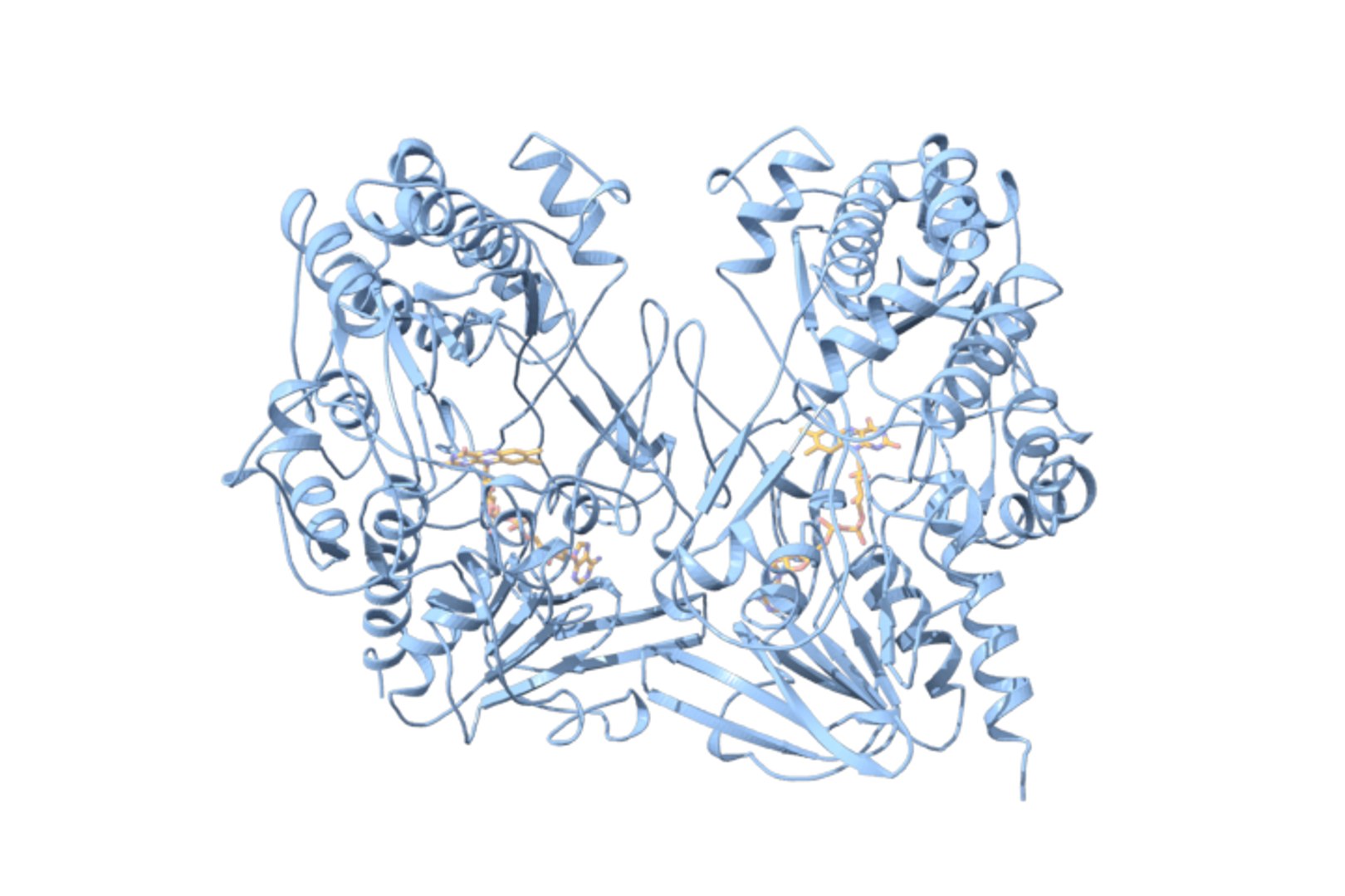 3D Glucose Oxidase Model - TurboSquid 1186337