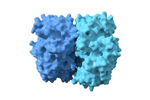 Enzyme 3D Models for Download | TurboSquid