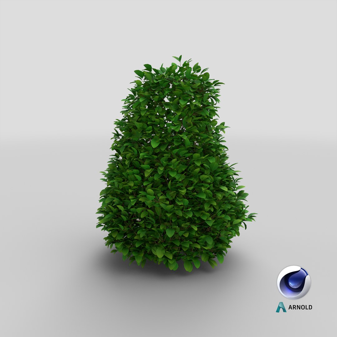 Cartoon Bush 18 3D Model - TurboSquid 1941445