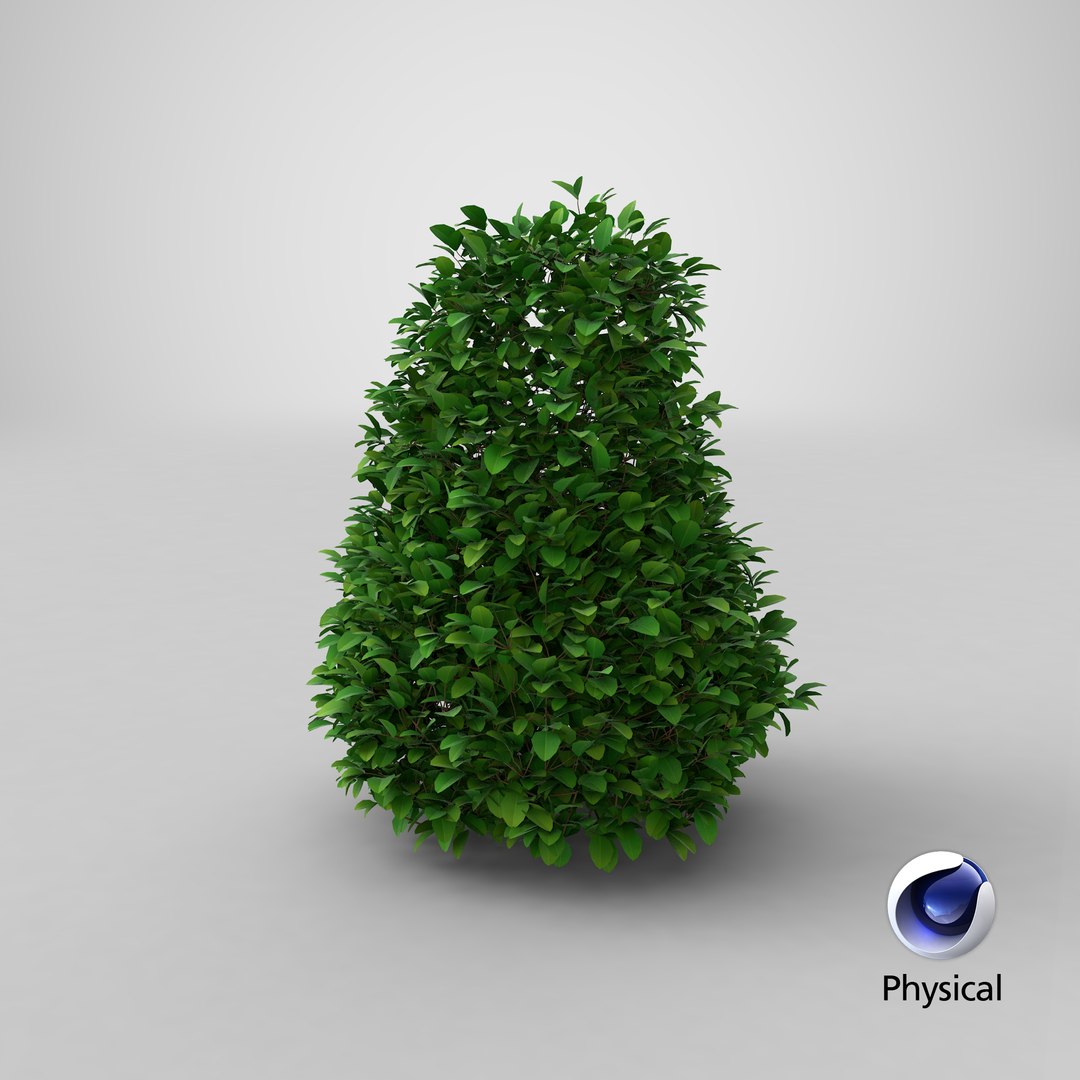 Cartoon Bush 18 3D Model - TurboSquid 1941445