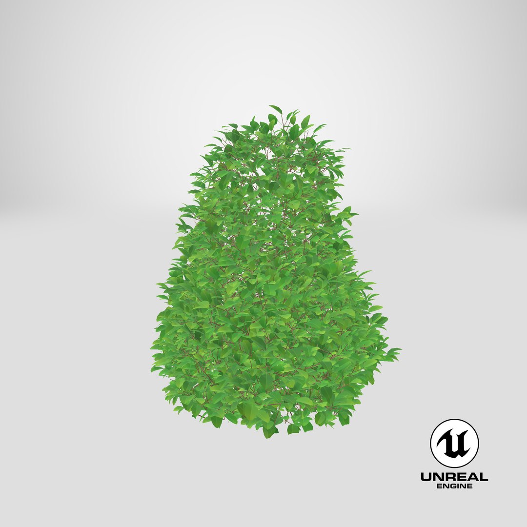Cartoon Bush 18 3D Model - TurboSquid 1941445
