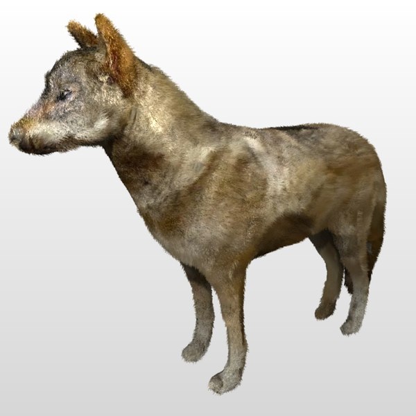 wolf 3d blend