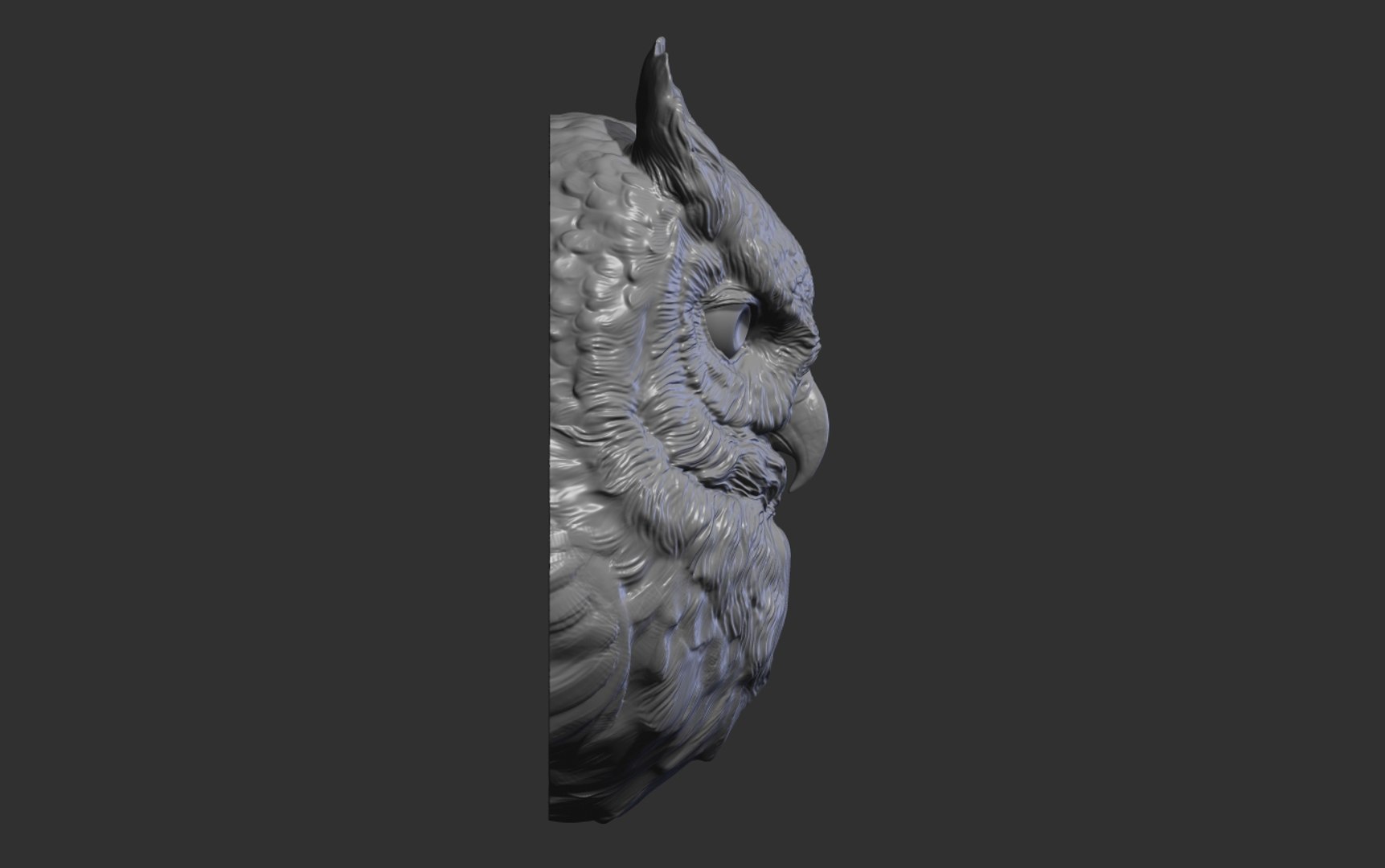 Night Owl Model - TurboSquid 1772065