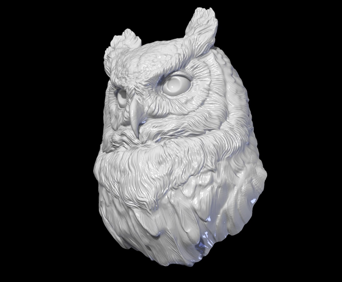 Night Owl Model - TurboSquid 1772065