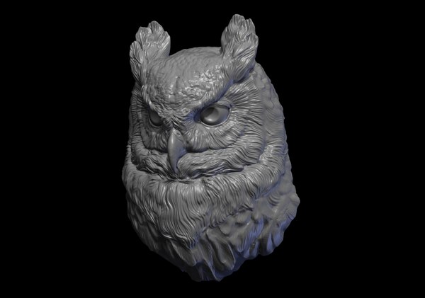 Night owl model - TurboSquid 1772065