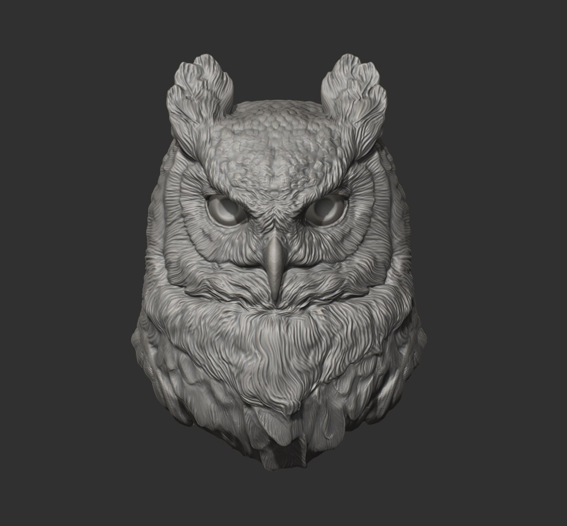 Night Owl Model - TurboSquid 1772065