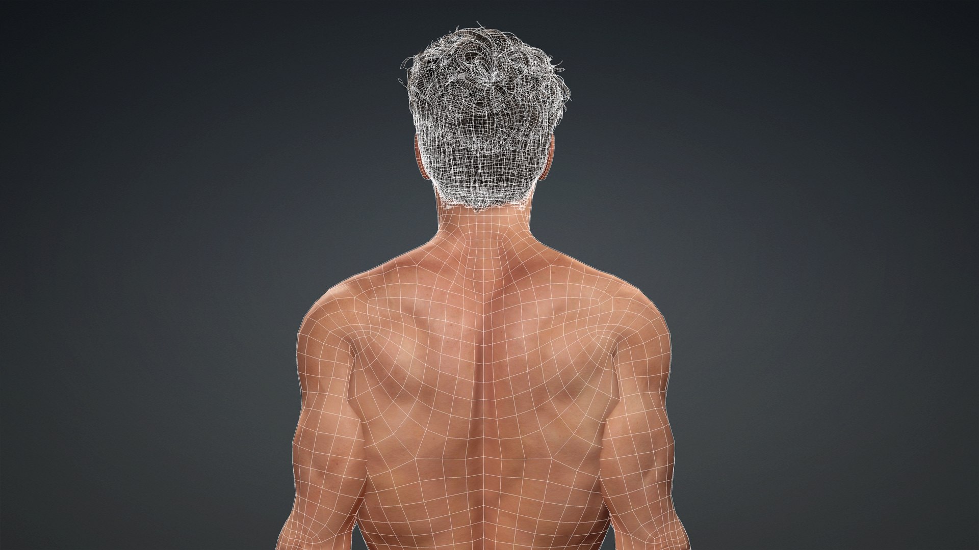 3D Model Muscular Male 3D Model - TurboSquid 2515765