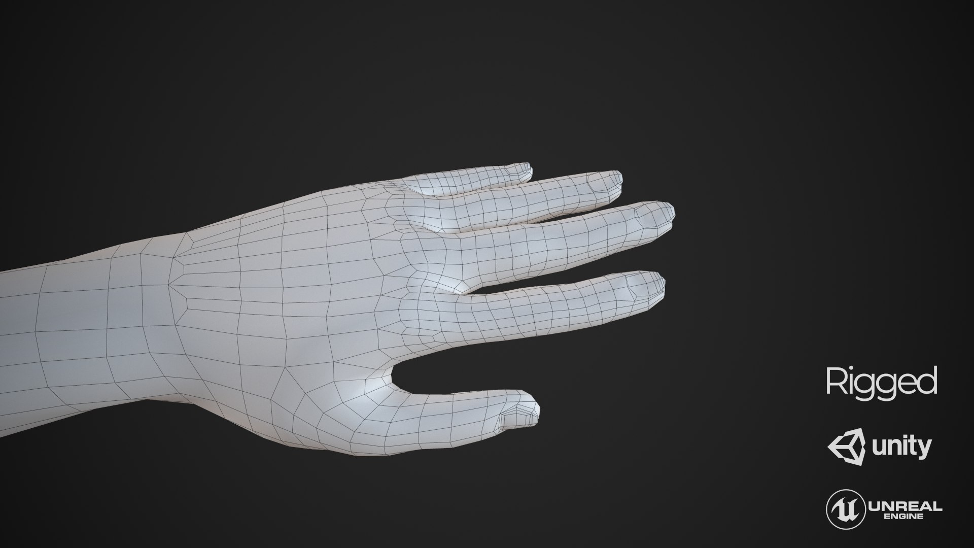 3D Model Base Mesh Basemesh - TurboSquid 1680890