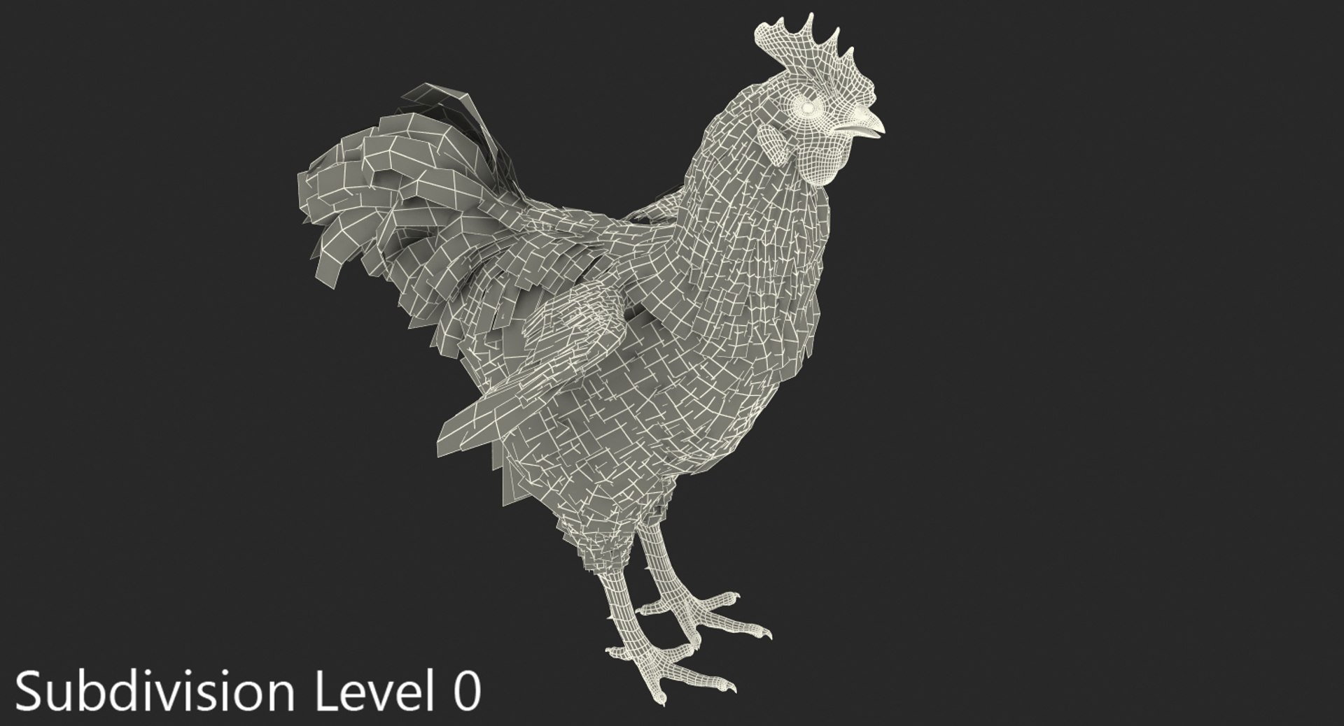 Rooster chickens 3D model - TurboSquid 1201830