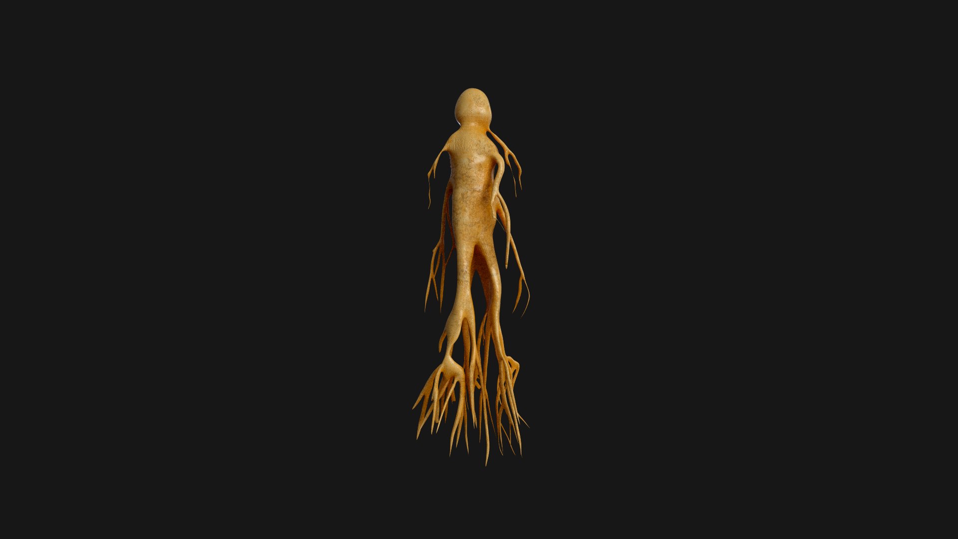 GINSENG 3D - TurboSquid 1781775