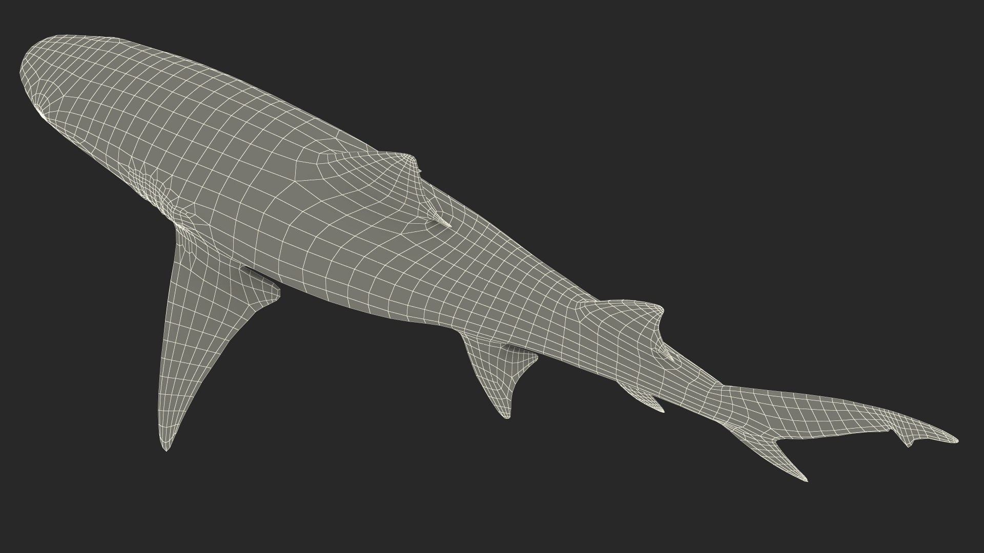 Sharptooth Lemon Shark 3D Model - TurboSquid 2248511