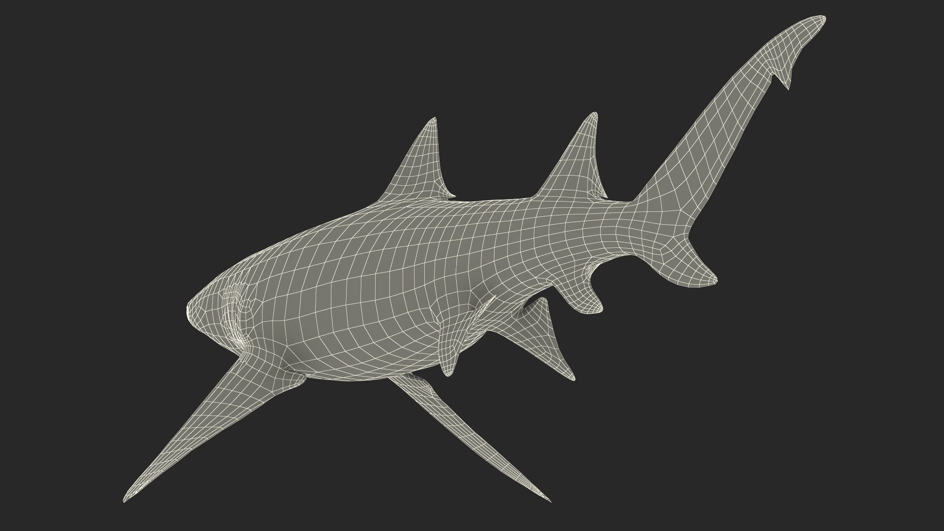 Sharptooth Lemon Shark 3D Model - TurboSquid 2248511