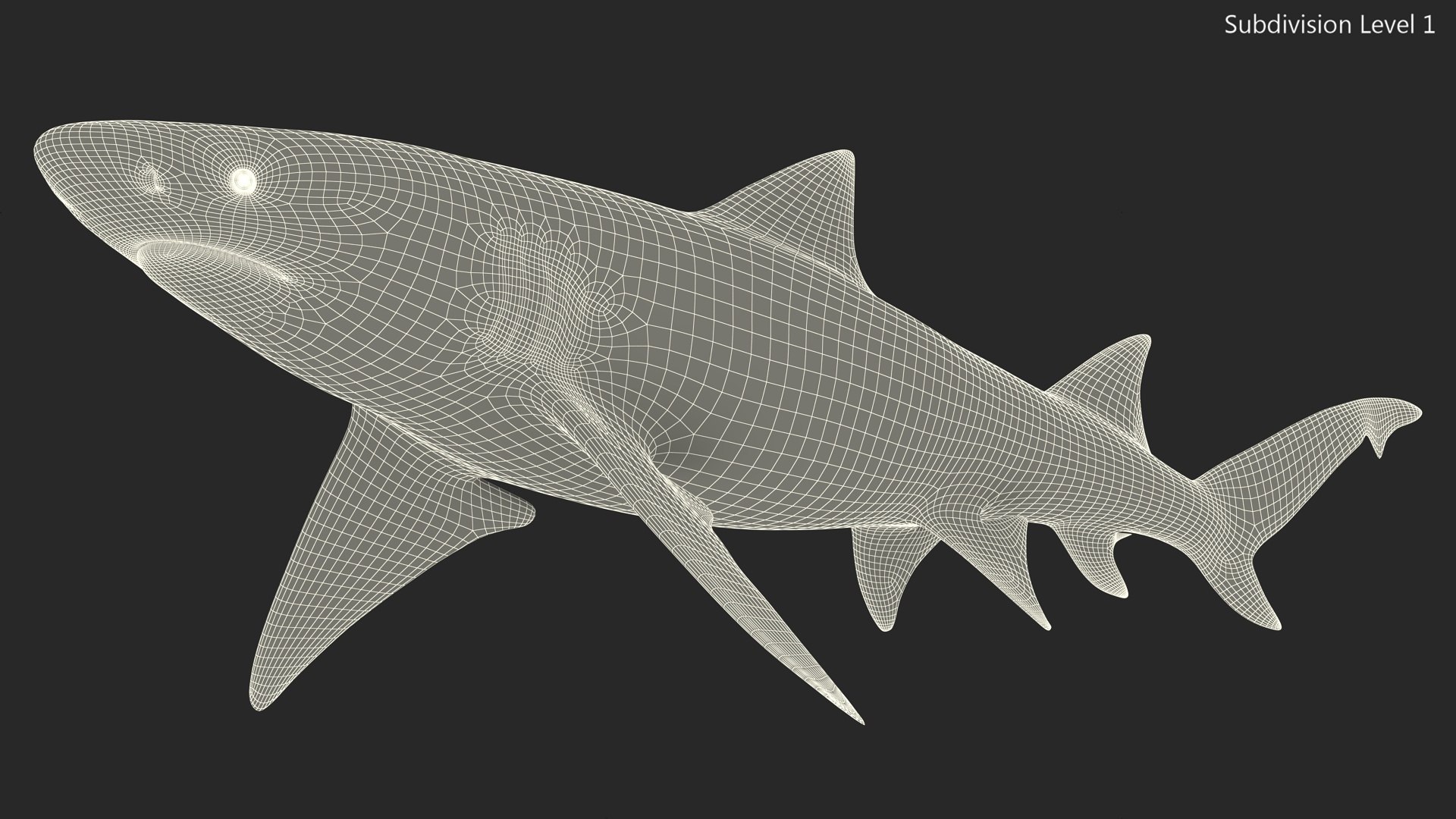 Sharptooth Lemon Shark 3D Model - TurboSquid 2248511