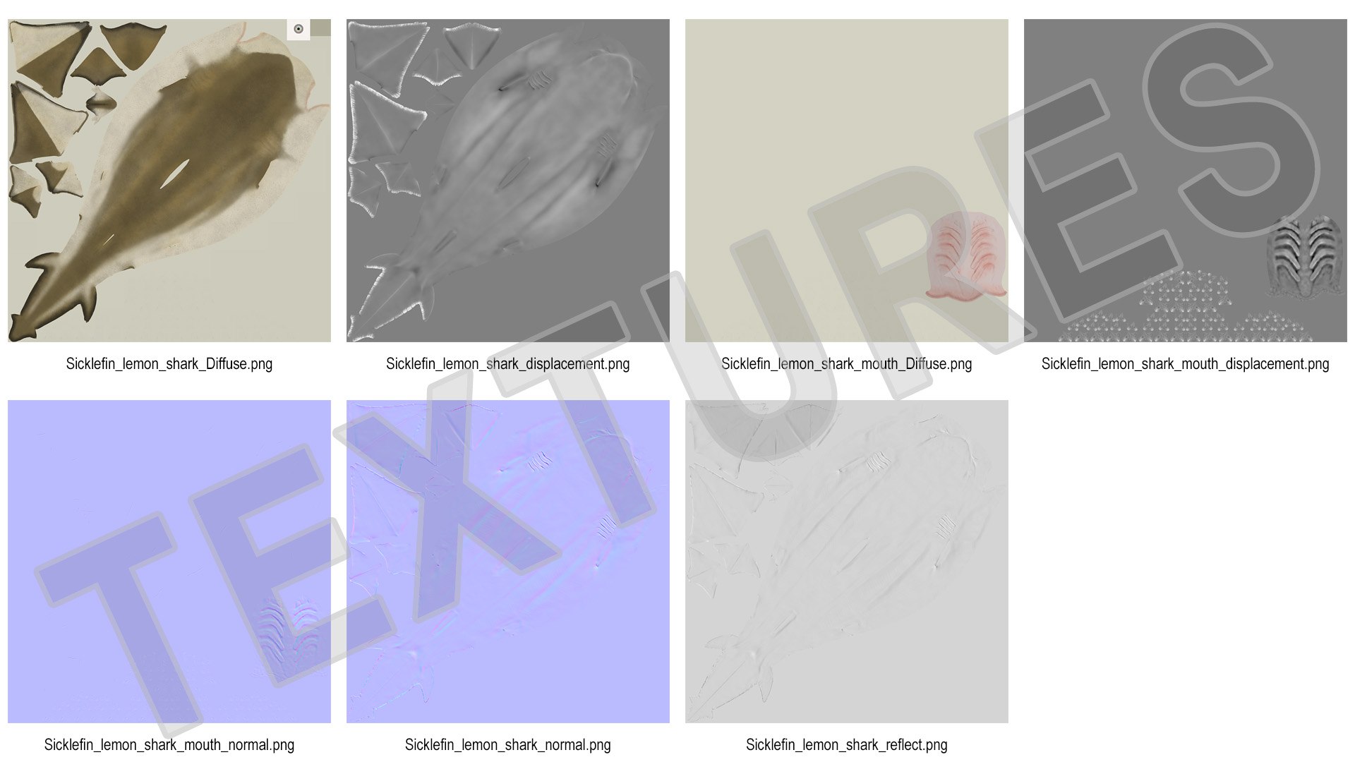 Sharptooth Lemon Shark 3D Model - TurboSquid 2248511