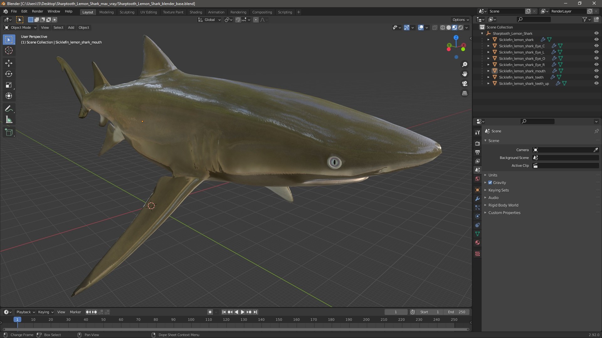 Sharptooth Lemon Shark 3D Model - TurboSquid 2248511