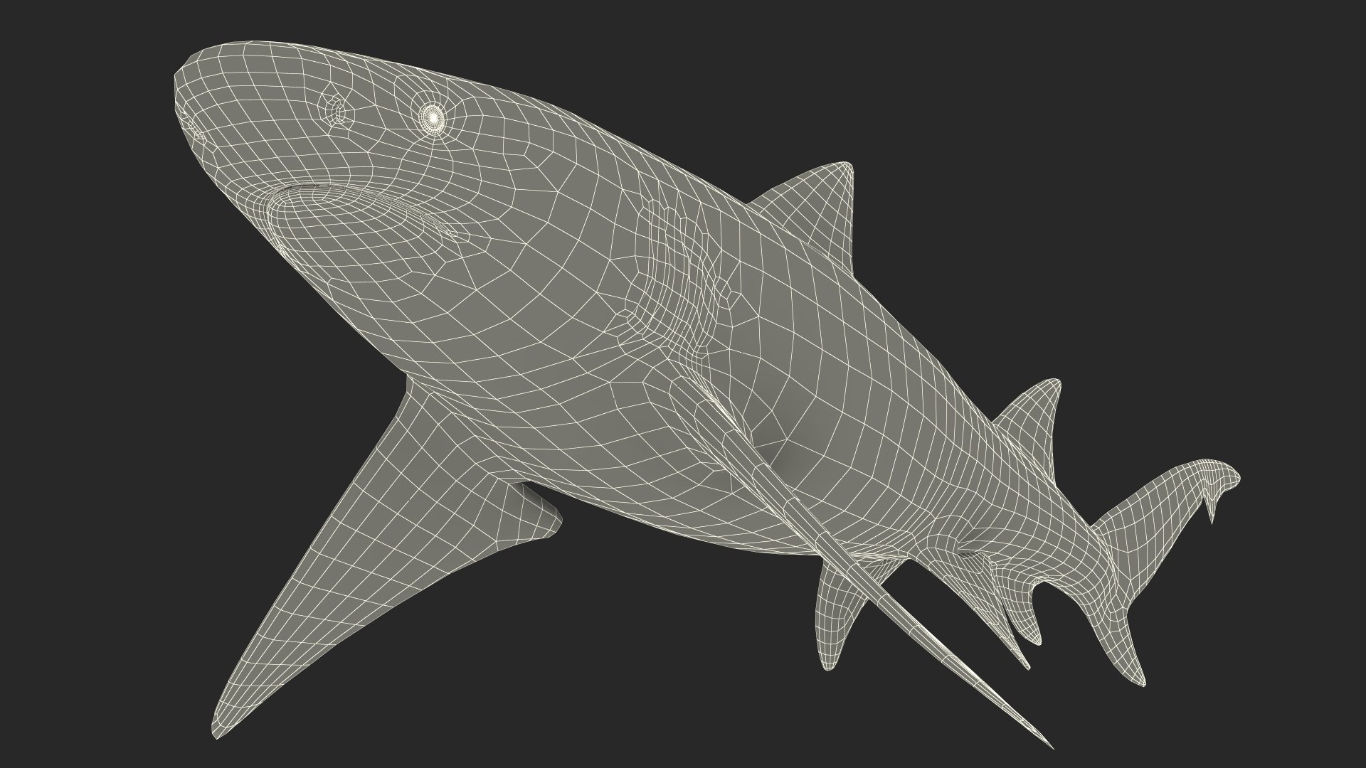 Sharptooth Lemon Shark 3D Model - TurboSquid 2248511