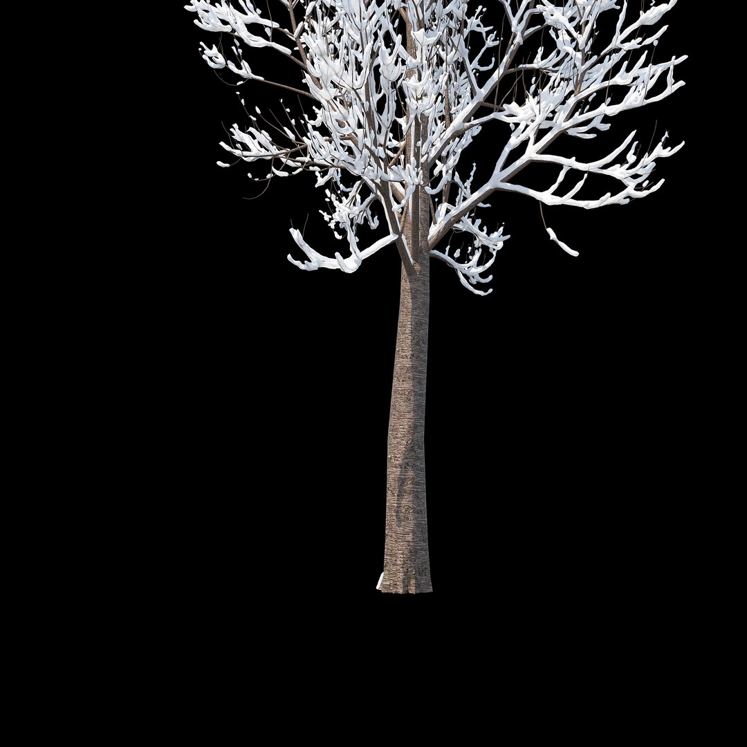 Winter Tree 017 Model - TurboSquid 1229655