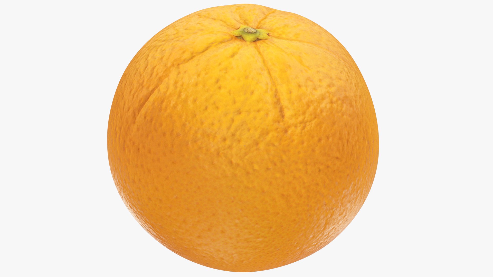 3D Citrus Fruits Collection V4 - TurboSquid 2239564