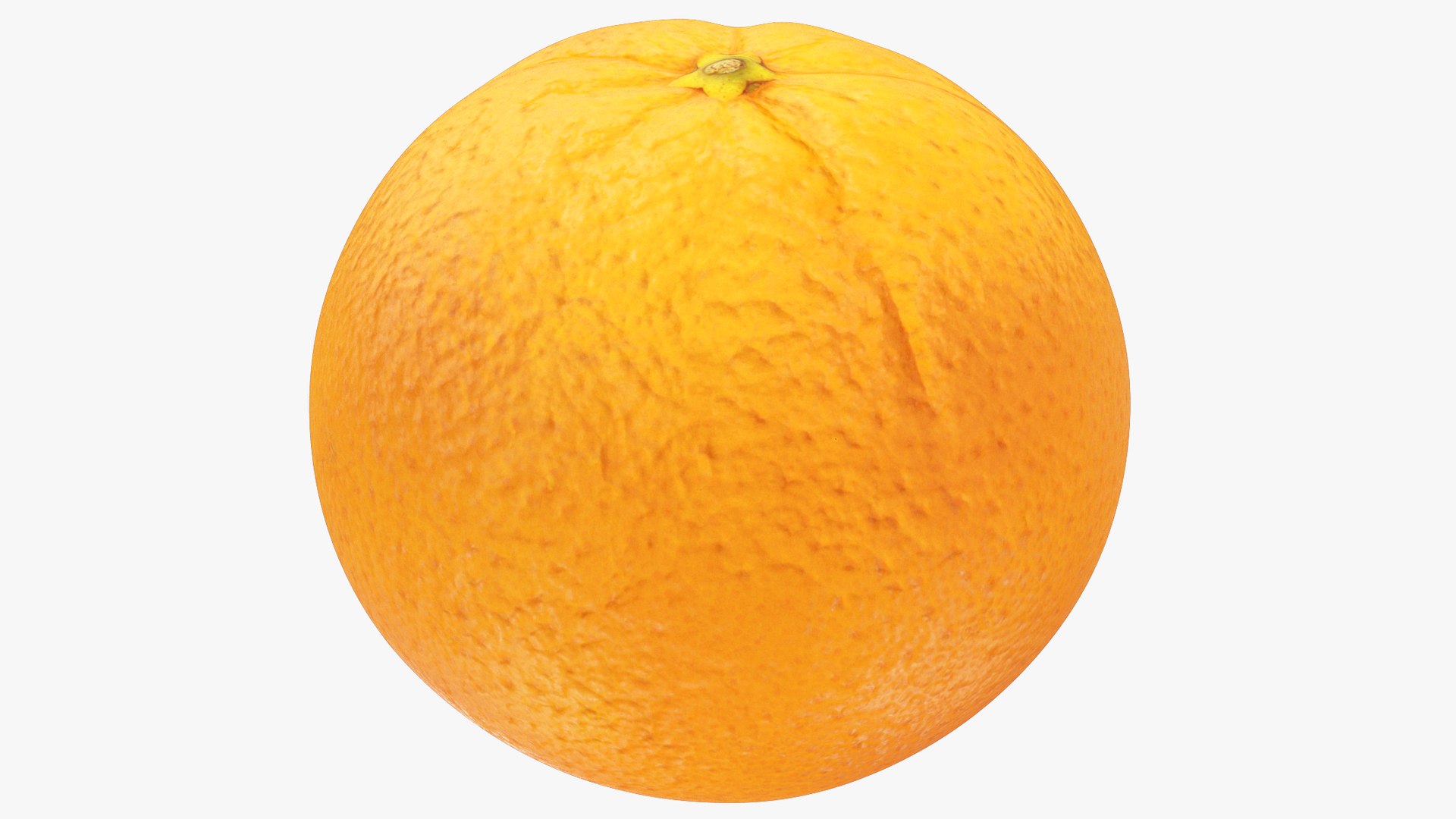 3D Citrus Fruits Collection V4 - TurboSquid 2239564