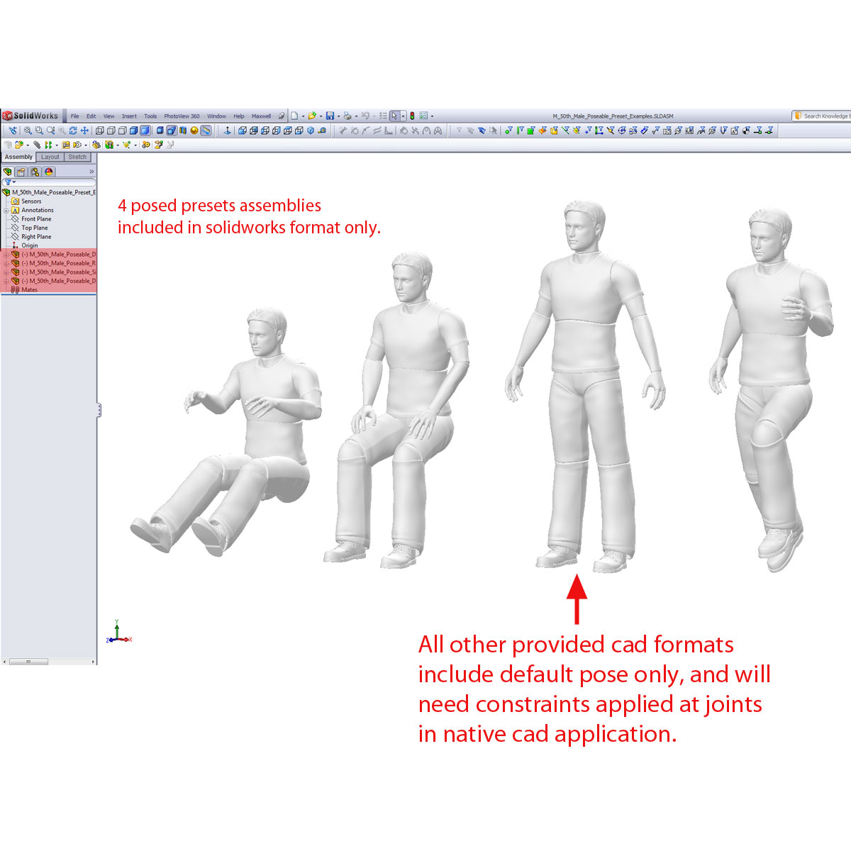 3d poseable male solidworks cad