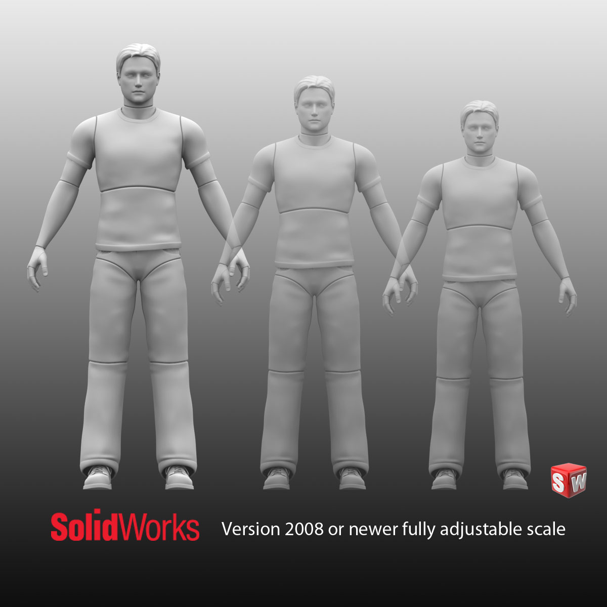 3d poseable male solidworks cad