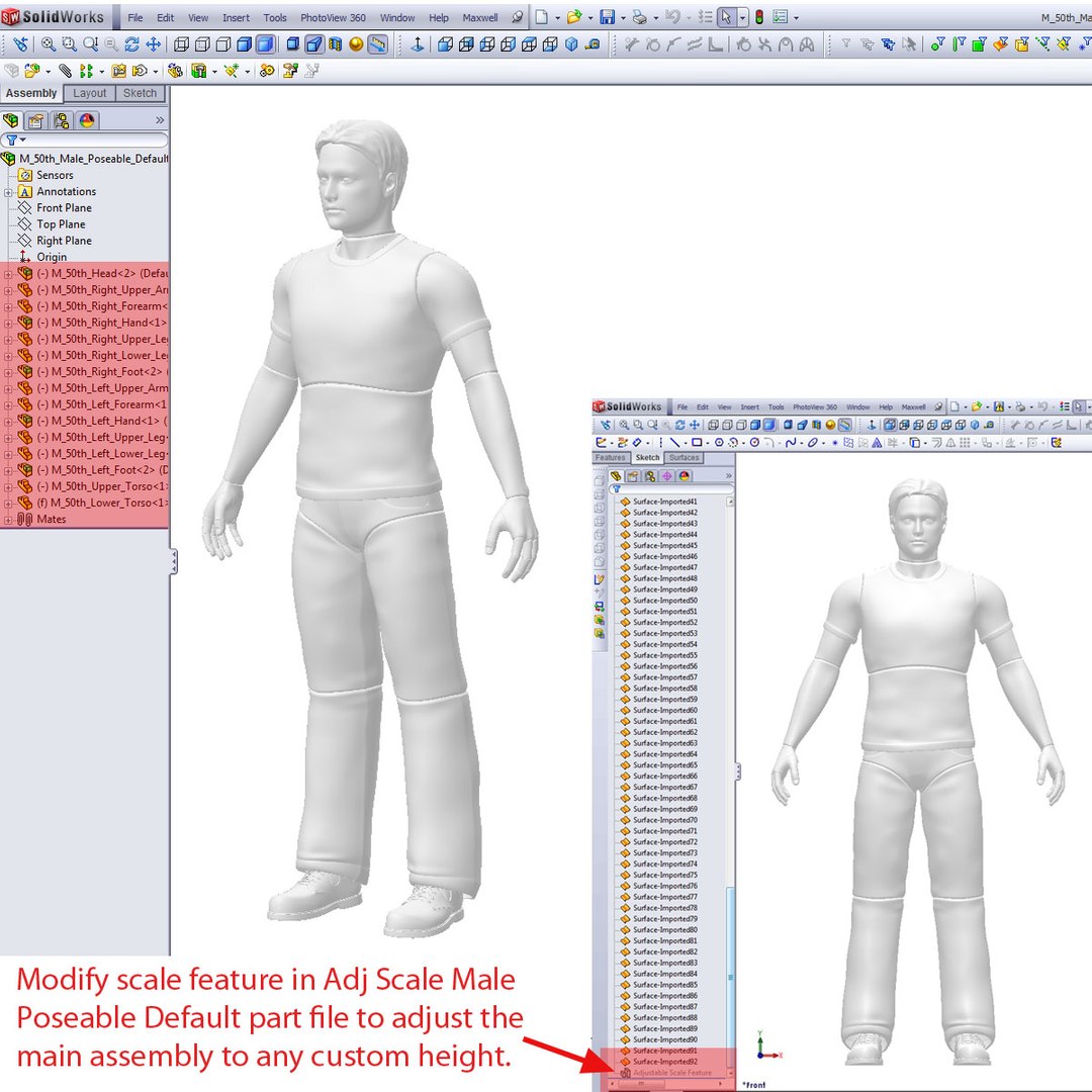 3d Poseable Male Solidworks Cad