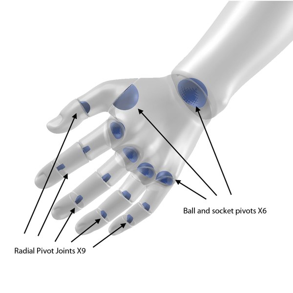 3d poseable male solidworks cad