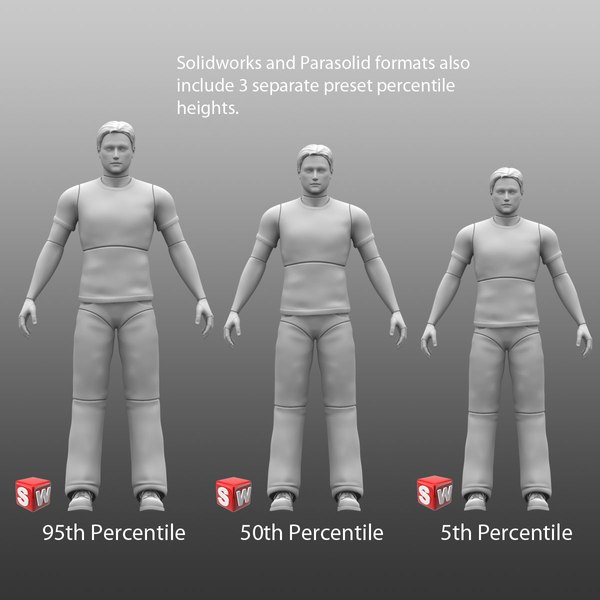 3d poseable male solidworks cad