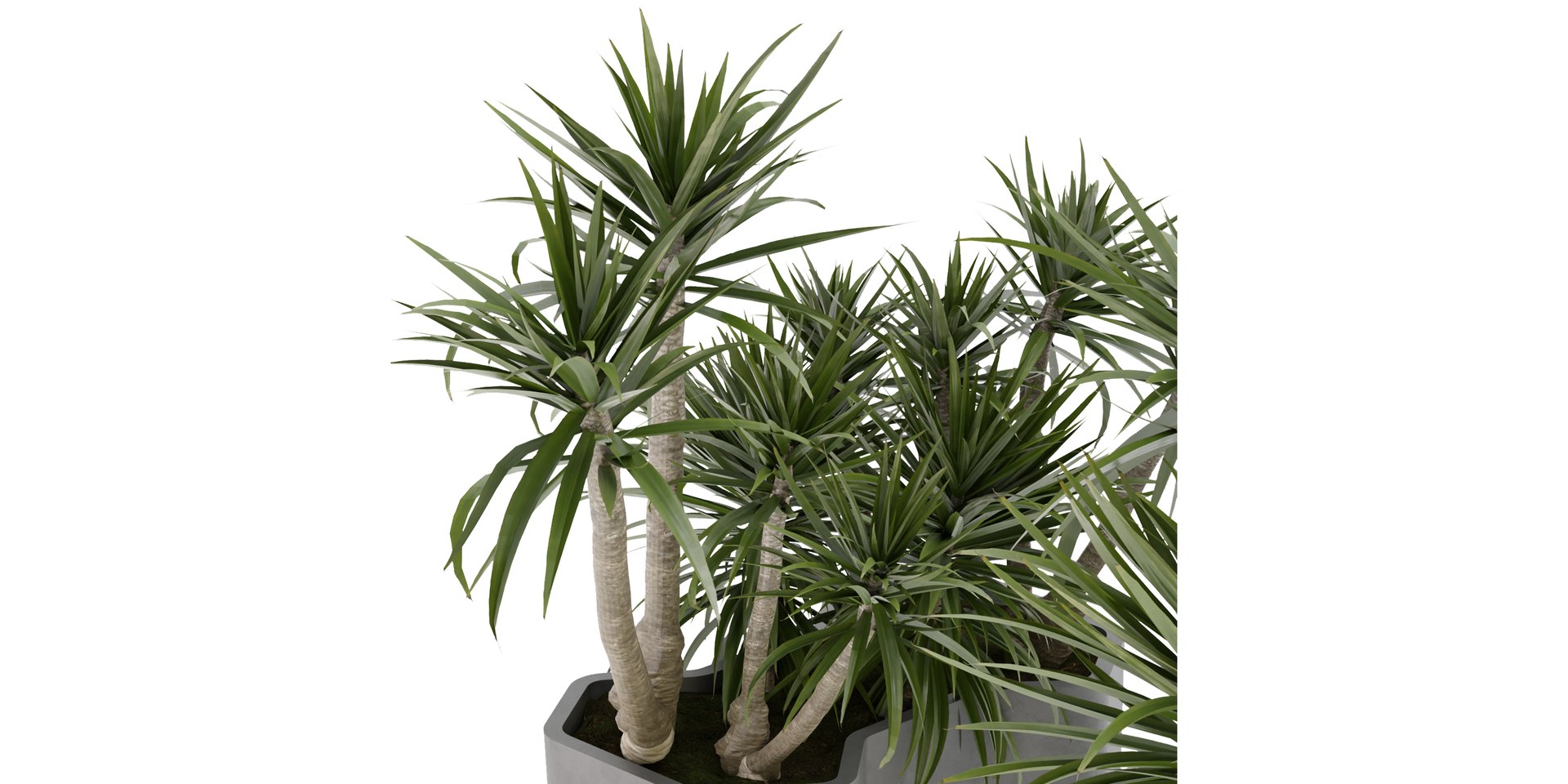 3D Collection Plant Vol 321 - Blender Model - TurboSquid 2093046