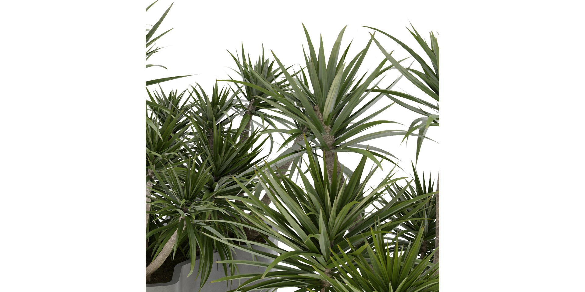 3D Collection Plant Vol 321 - Blender Model - TurboSquid 2093046