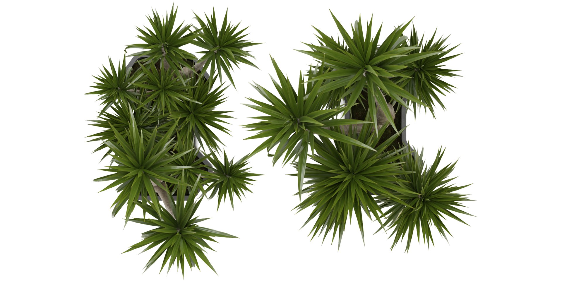 3D Collection Plant Vol 321 - Blender Model - TurboSquid 2093046