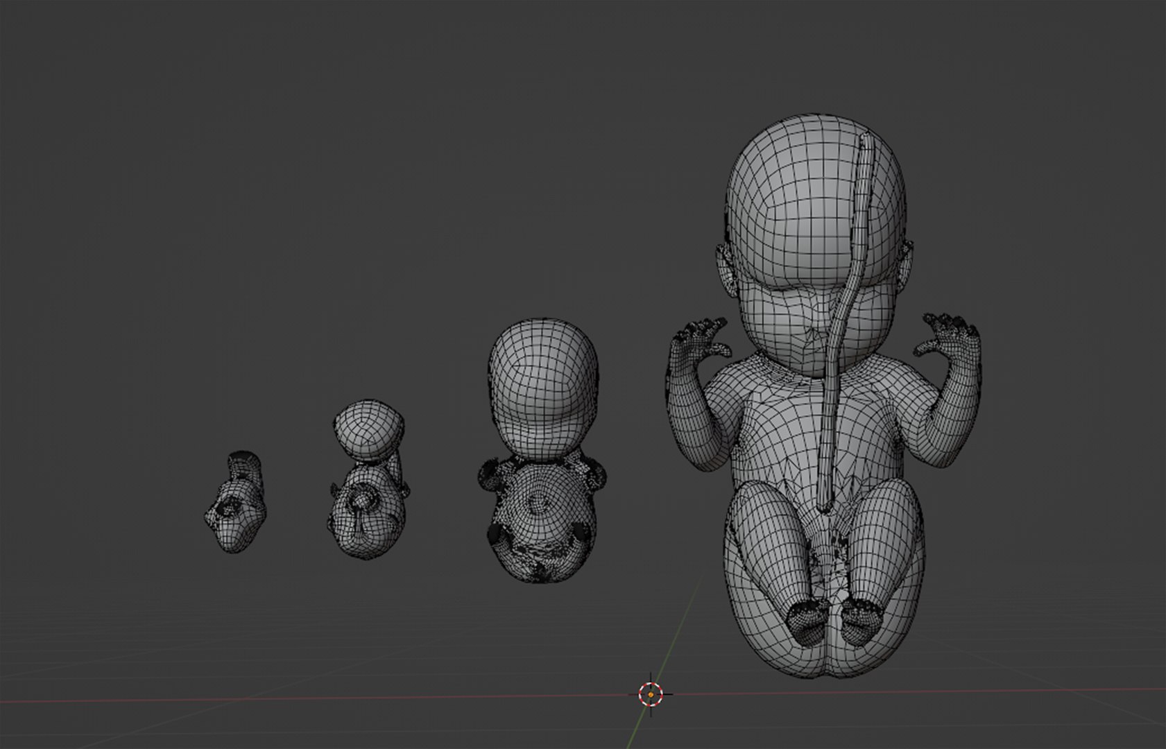 Human Fetus - Fetal Developmental Stages Model - TurboSquid 1844080