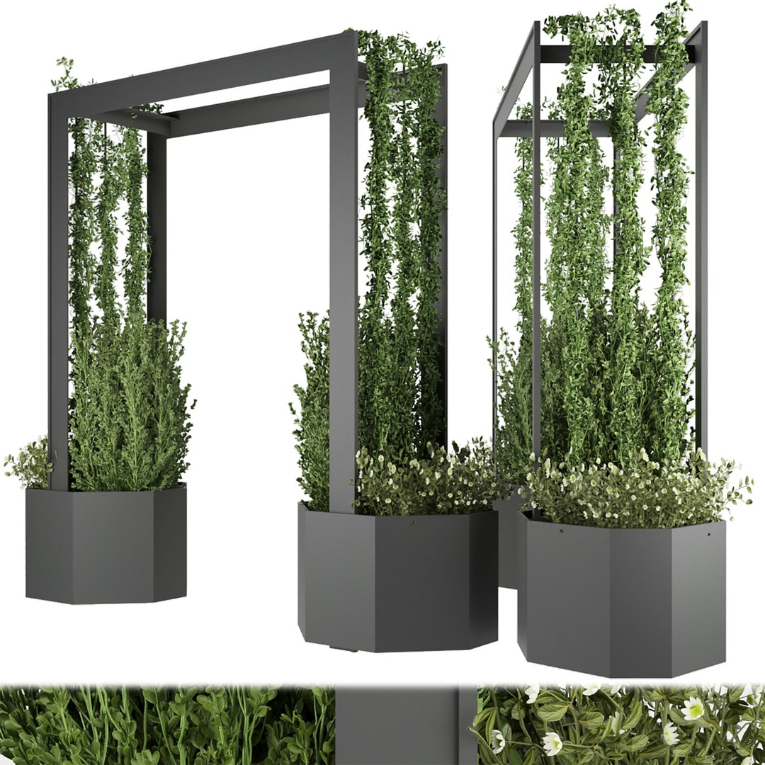 Collection Plant Vol 147 - Ivy -leaf 3D Model - TurboSquid 1880933