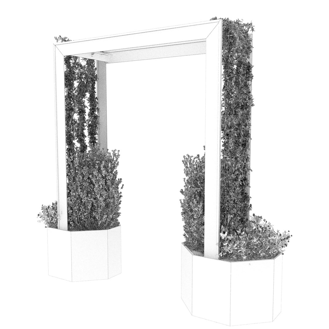 Collection Plant Vol 147 - Ivy -leaf 3D Model - TurboSquid 1880933