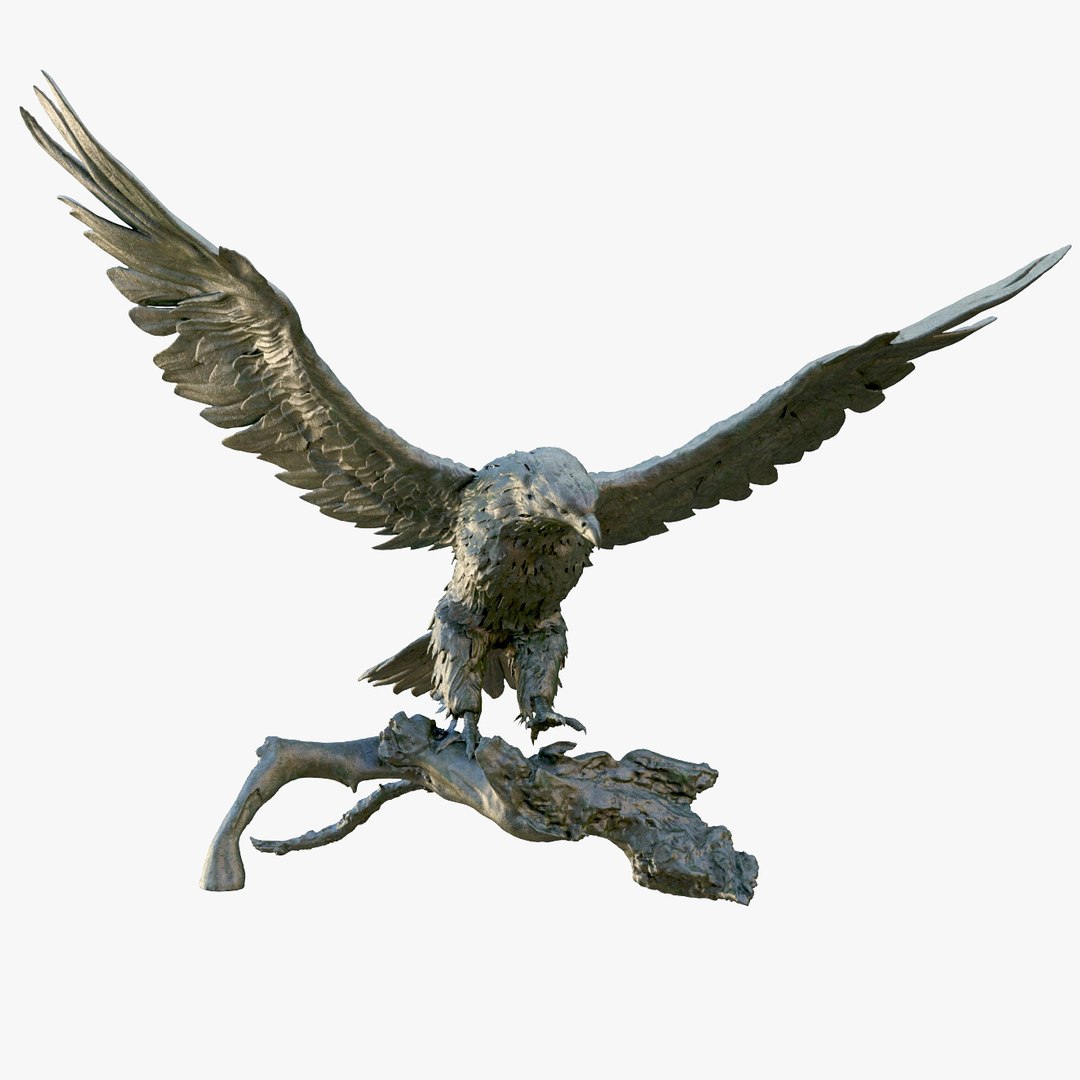3D model hawk bronze statue - TurboSquid 1512261